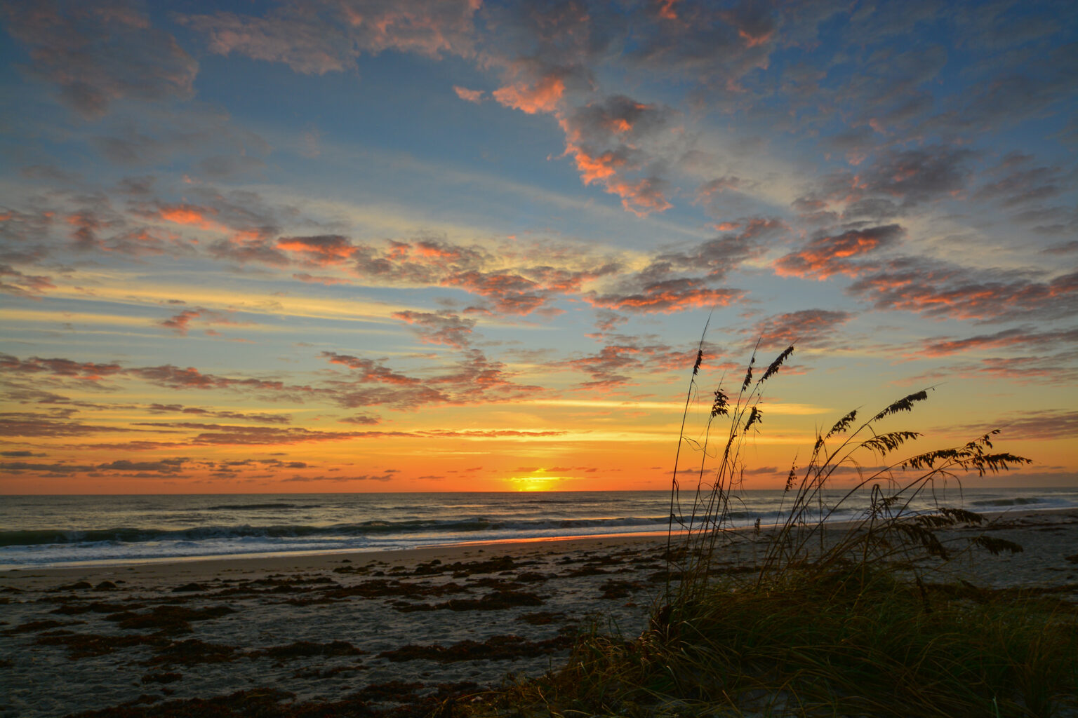 Things To Do - Visit Space Coast
