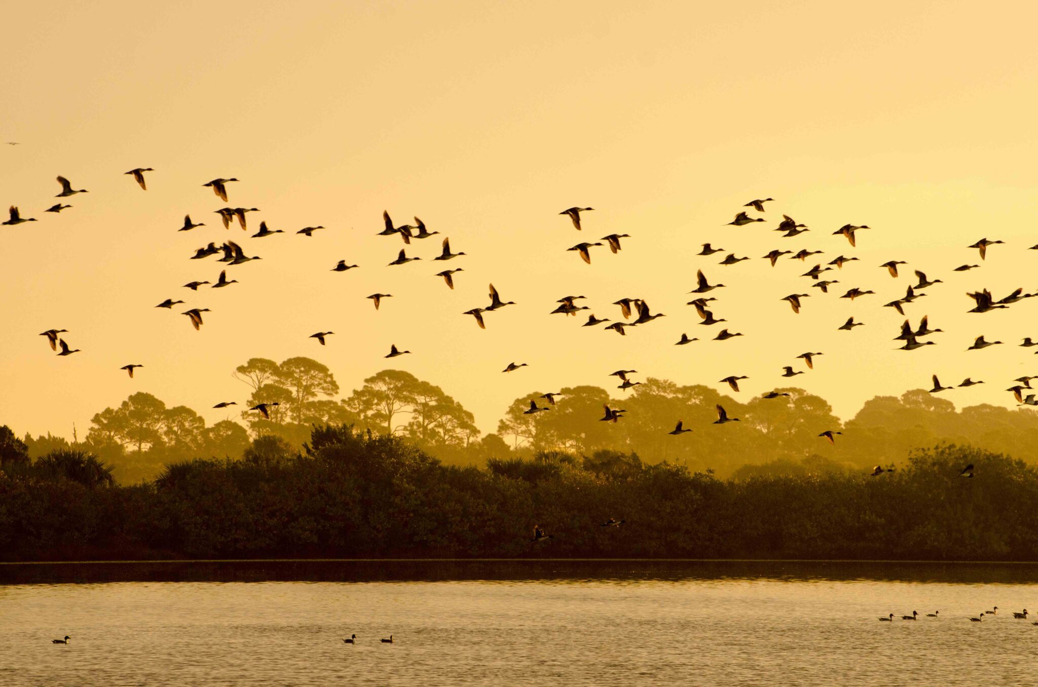 Merritt Island - Visit Space Coast