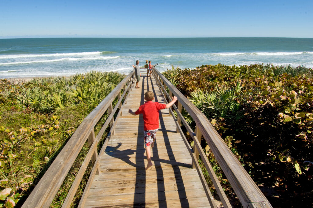 4 Things To Know About Playalinda Beach - Visit Space Coast