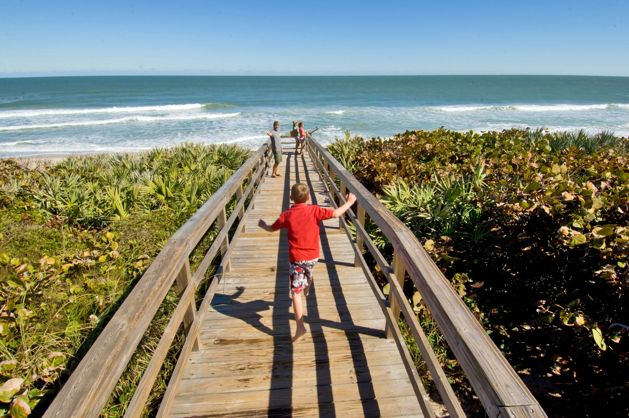 4 Things To Know About Playalinda Beach - Visit Space Coast