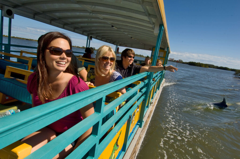 All About Dolphins and Where to See Them on the Space Coast - Visit ...