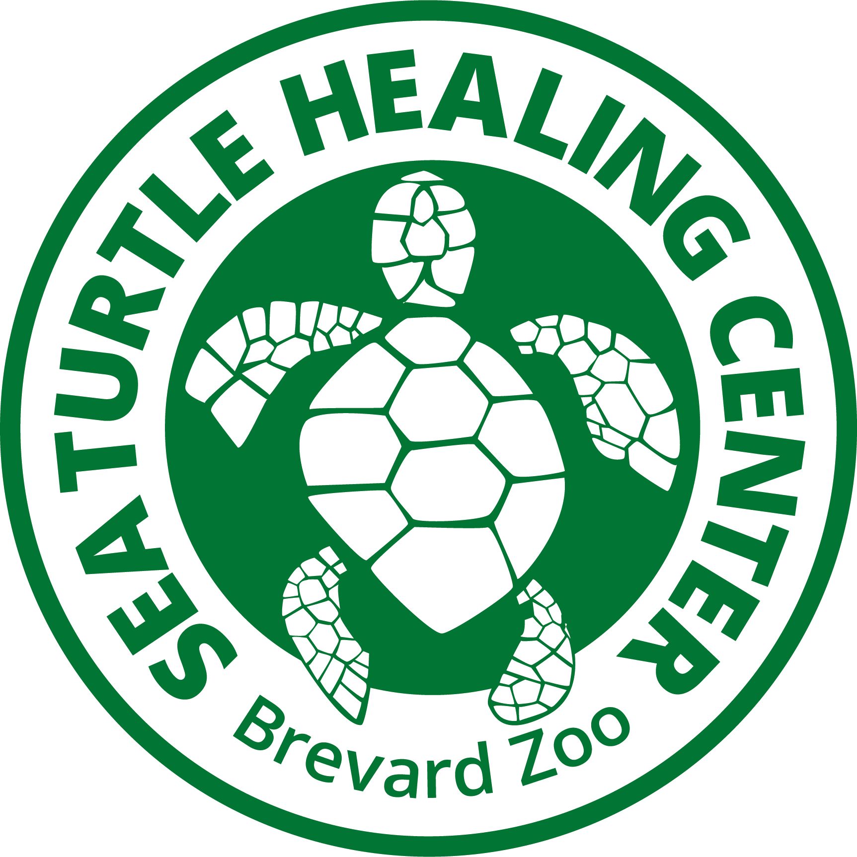 Sea Turtle Season on the Space Coast Press Kit - Visit Space Coast