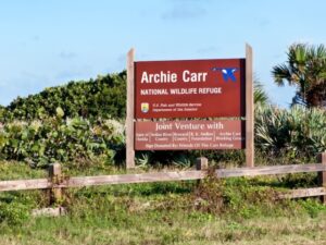 Archie Carr National Wildlife Refuge - Visit Space Coast
