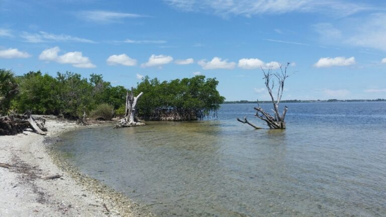 Long Point Park & Campground - Visit Space Coast