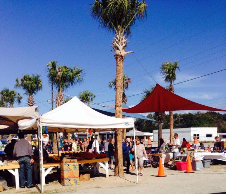 Farmer's Markets on the Space Coast - Visit Space Coast